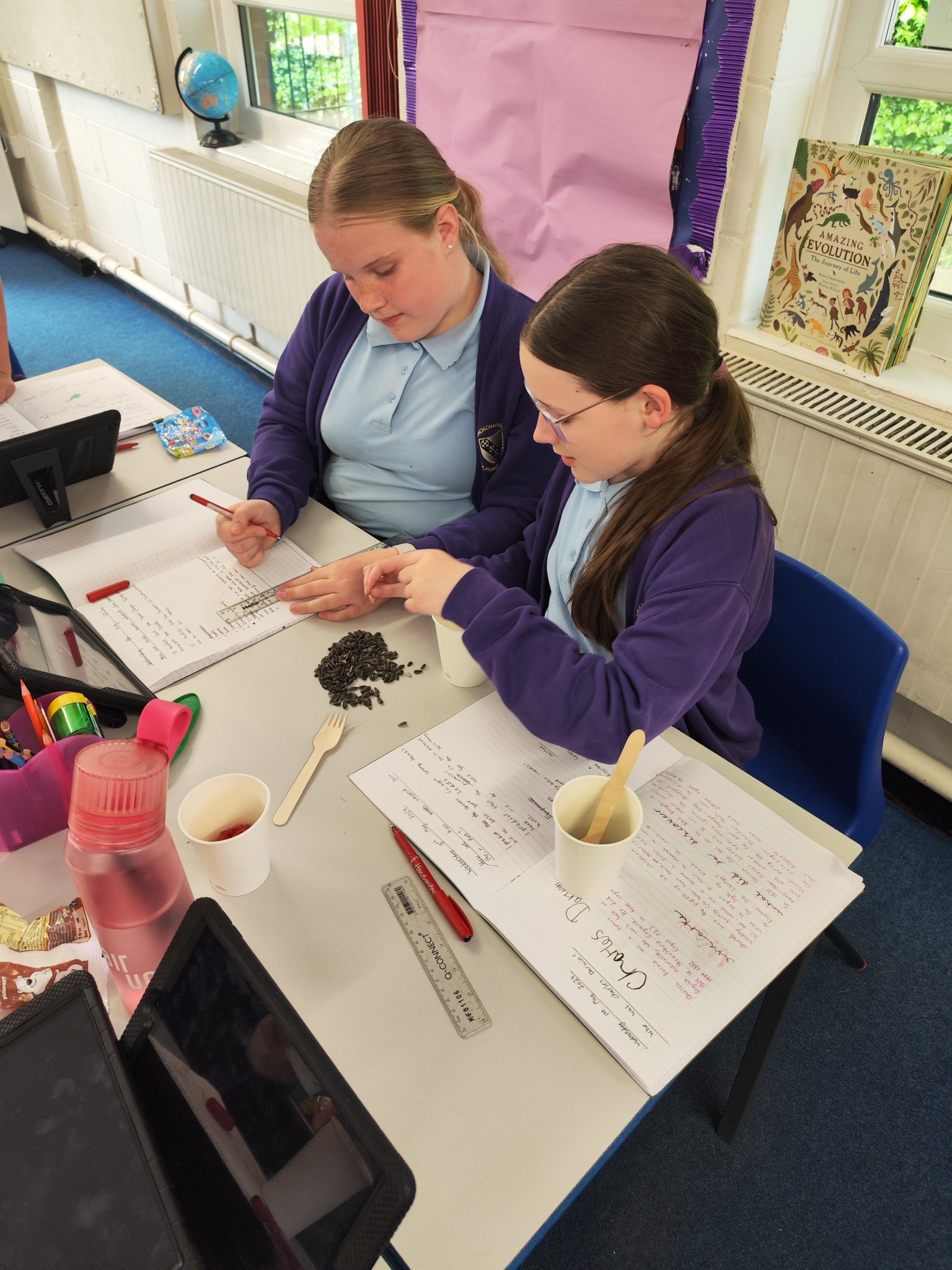 Year 6 | Charnock Richards